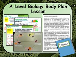 KS5 A Level Biology Body Plans Lesson | Teaching Resources