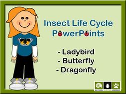 Insect Life Cycle PowerPoints Bundle by Gdwaters1 - Teaching Resources ...
