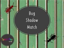 Bug Shadow Match | Teaching Resources