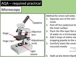 AQA Required practical - Microscopy | Teaching Resources