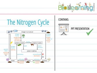 Nitrogen Cycle - Powerpoint PPT, Worksheet, Loop Game and Board Game ...