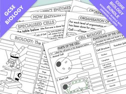 GCSE Biology: Core Topics Worksheet Bundle | Teaching Resources