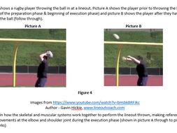 GCSE PE - movement analysis test / worksheet no. 1 (joints, muscles etc ...