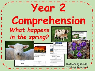 Year 2 Reading Comprehension Pack - Seasons by blossomingminds ...