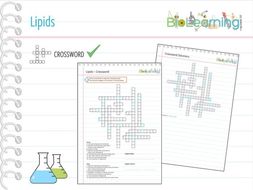 Lipids - Crossword (KS5) | Teaching Resources