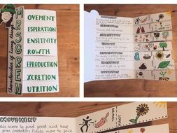 MRS GREN Science, Living things | Teaching Resources