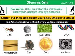 Observing Cells | Teaching Resources