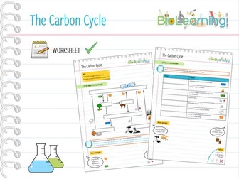 4x Carbon and Nitrogen Cycle - 2x Powerpoint PPTs and 2x Worksheets ...