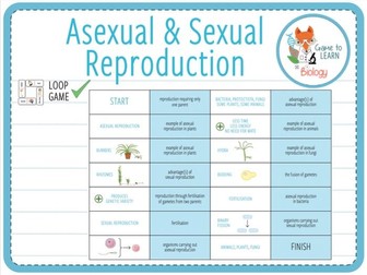 Human Reproduction - 13x Activities and Games (KS3/4) | Teaching Resources