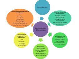 OCR A level biology from 2015 revision mind maps by rastevenson ...