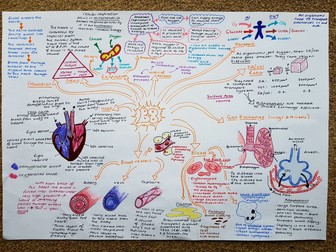 CB1 Revision Mind Map Edexcel 'Key concepts in Biology' | Teaching ...
