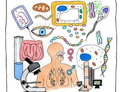 FREE BIOLOGY CLIP ART | Teaching Resources