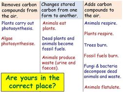 Decomposers and the Carbon Cycle Year 8 Lesson PowerPoint (KS3 8De ...