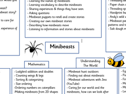 Minibeast EYFS Planning | Teaching Resources