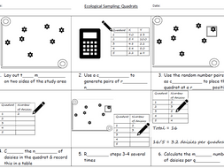 Quadrat method KS3 SEN | Teaching Resources