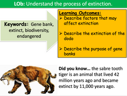 Extinction Examples In The Classroom