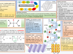 Structure of protein - AQA Chemistry | Teaching Resources