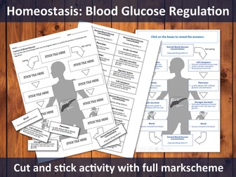 A level - Blood Glucose Regulation Lesson Bundle | Teaching Resources