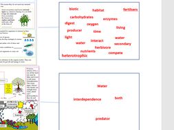 GCSE OCR Biology B4 ECOSYSTEMS - Revision poster | Teaching Resources