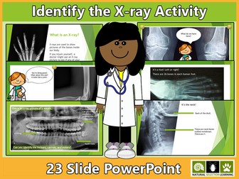 Skeletons Display and X-ray Activity KS2 | Teaching Resources