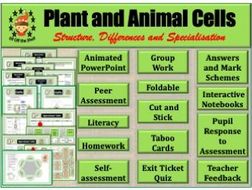 Plant and animal Cells-Structure, Differences and Specialisation KS3 by ...