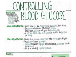 Blood Glucose (Homeostasis & Response) Revision Poster [AQA GCSE Biology Double and Triple 9-1 ...