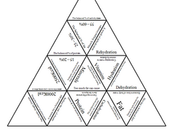 GCSE PE AQA 9-1 Energy use, Diet & Nutrition Tarsia Triangle Puzzle ...