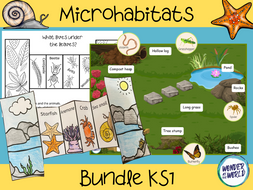 Microhabitats activity bundle KS1 | Teaching Resources
