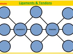 GCSE PE (Edexcel) - C1;T1.1.6 - Ligaments & Tendons | Teaching Resources