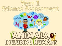 Year 1 Science Assessment: Animals, Including Humans | Teaching Resources