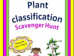 Plant Classification Scavenger Hunt - An Activity | Teaching Resources