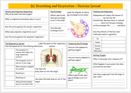 Breathing and Respiration Revision Spread | Teaching Resources