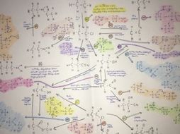 Organic synthesis revision game | Teaching Resources