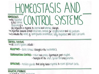 Homeostasis & Response (Paper 2) Revision Posters [AQA GCSE Biology ...