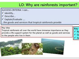 L3. Why is the rainforest important? | Teaching Resources