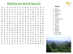 Rainforest Word Search | Teaching Resources