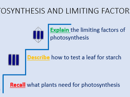 Photosynthesis and limiting factors lesson | Teaching Resources