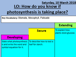 Testing a leaf for starch lesson | Teaching Resources