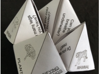 Chatterbox Collection | Teaching Resources