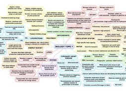 A-Level Biology topic mind map | Teaching Resources
