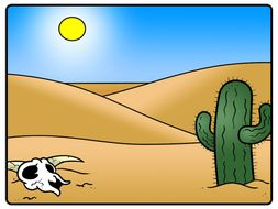 Desert Biomes, An introduction to deserts, Desert characteristics ...