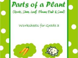 Parts of a Plant- Roots, Stem, Leaf, Flower, Fruit & Seed - for Grade 3 ...