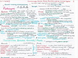 OCR A Level Biology Communicable Disease Revision Poster | Teaching ...
