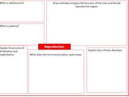 Reproduction revision poster KS3 | Teaching Resources