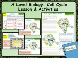A Level Biology Cell Cycle Lesson & Activities | Teaching Resources