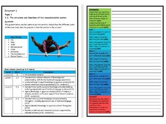 GCSE PE - Edexcel (9-1) - 10 X Structure Strips Part 1 - Anatomy ...