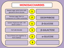 Monosaccharides (AQA A-level Biology) | Teaching Resources
