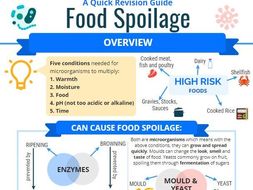 Food Spoilage Revision Infographic by nirunas95 | Teaching Resources
