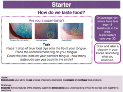Sensory Testing/olfactory system | Teaching Resources