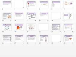 Receptors AQA A Level - Pacinian Corpuscle and Eye | Teaching Resources